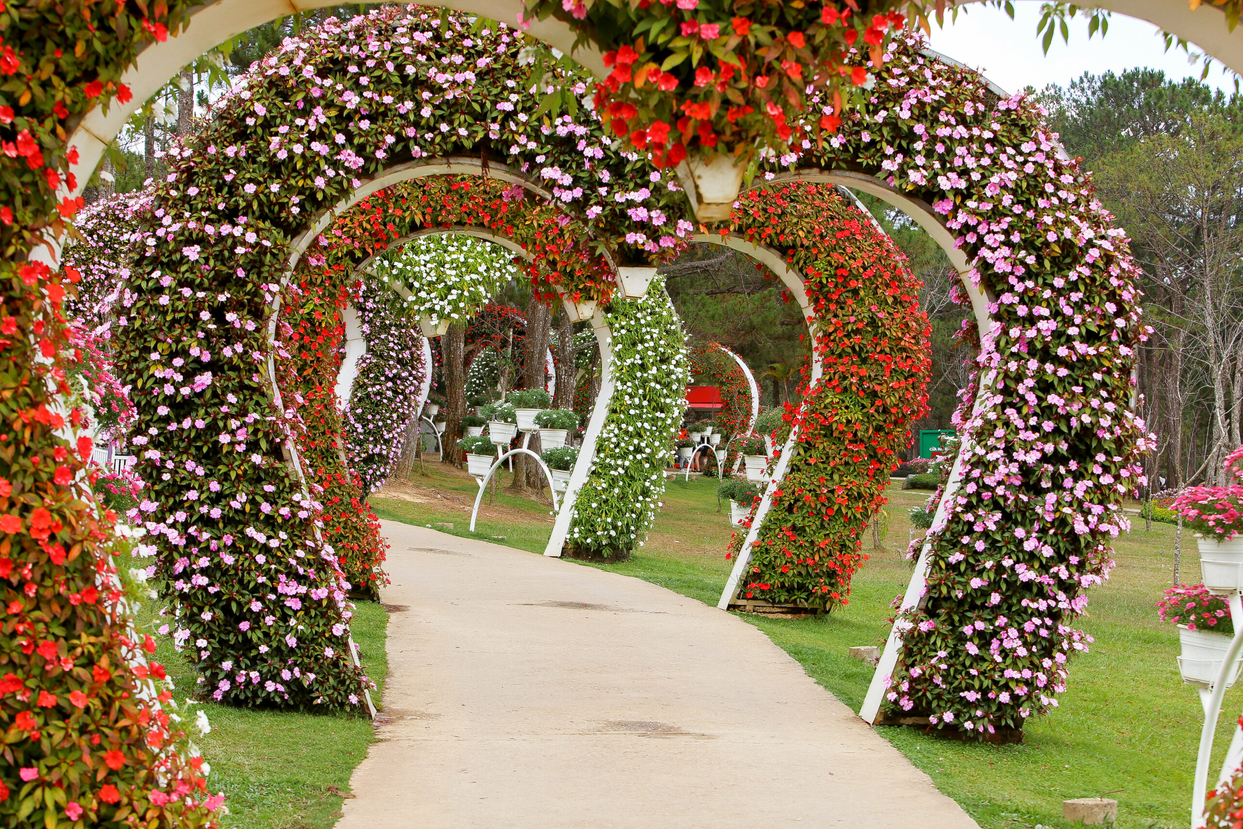 VĨNH THẠNH - ĐÀ LẠT - NHA TRANG - VĨNH THẠNH 3N2Đ - 2025 - Tour Quy Nhơn - Quang Minh Tourist